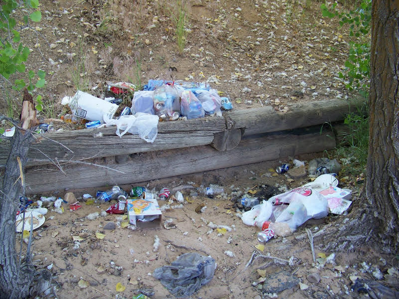 Complaints raised about trash at Pineview Dam | News, Sports, Jobs ...